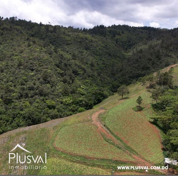 Oportunidad Única: Finca en Venta en Constanza 35869 | Plusval Inmobiliaria